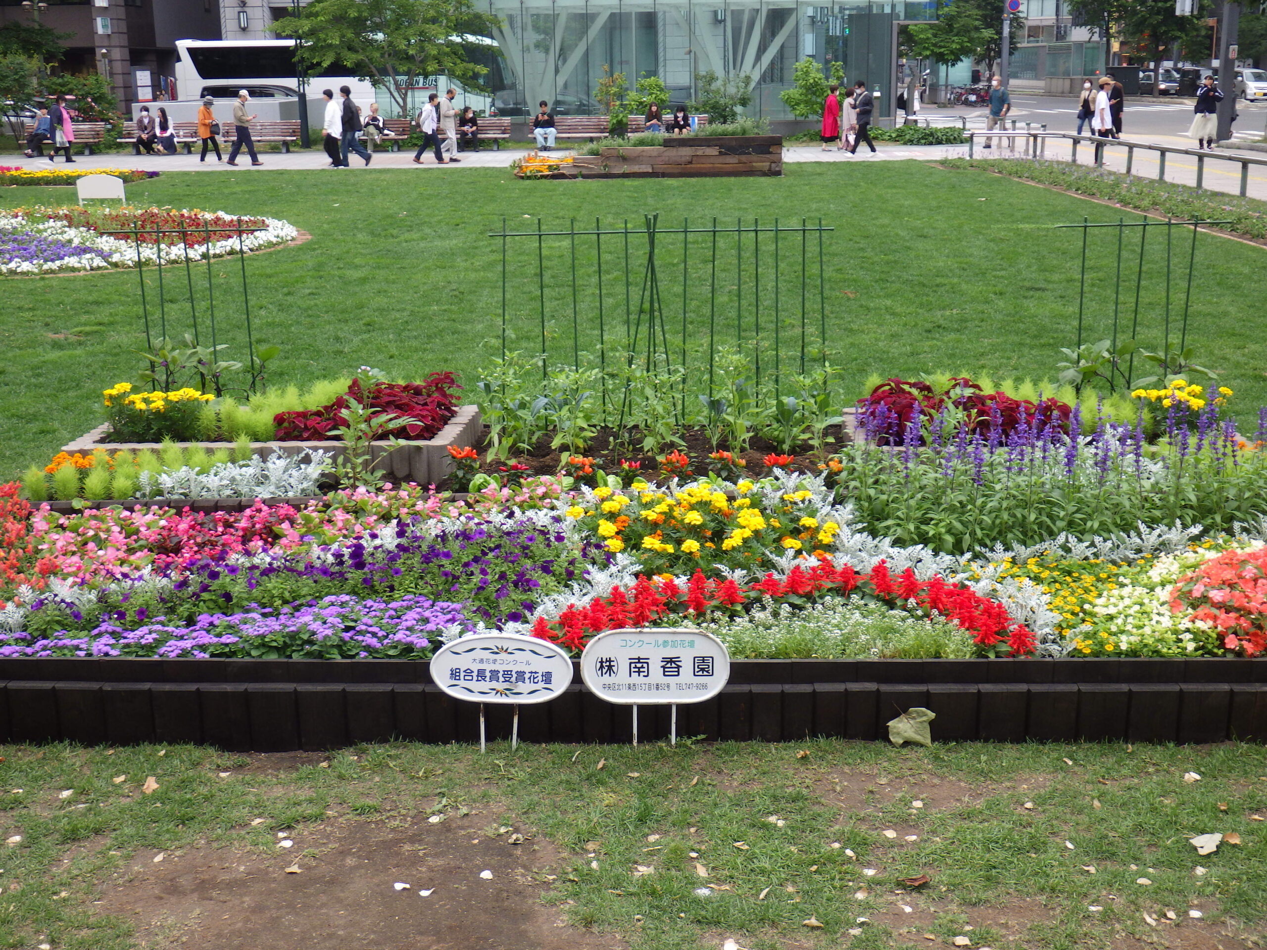 令和6年の花壇コンクール受賞花壇7 | 大通公園 -公益 財団法人 札幌市公園緑化協会